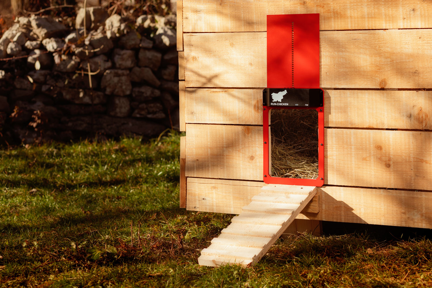 Home - Best Automatic Chicken Coop Doors