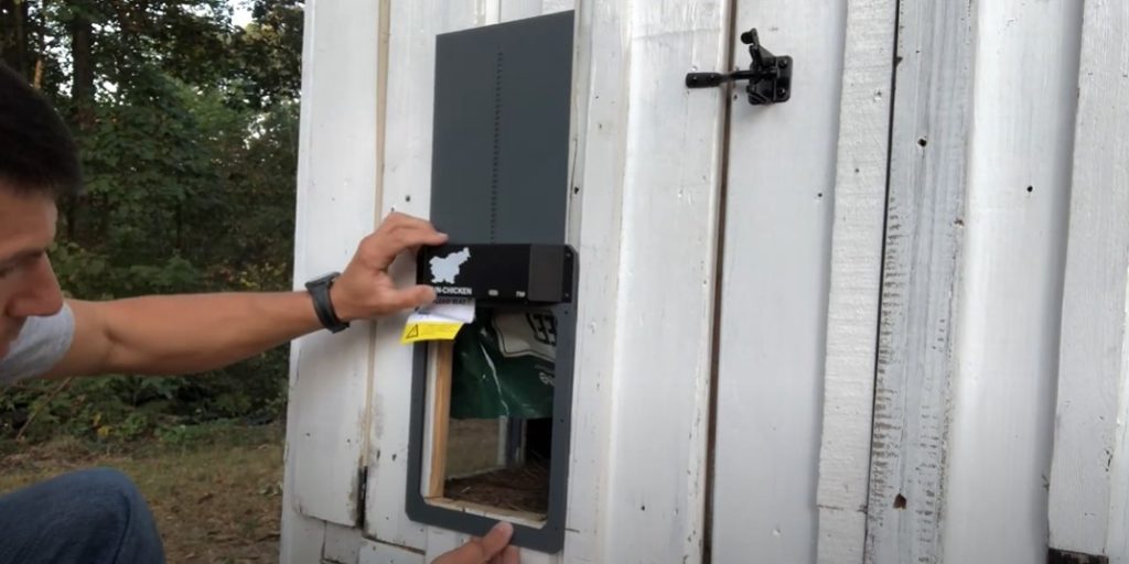 Benefits of an Automatic Chicken Coop Door - Best Automatic Chicken ...